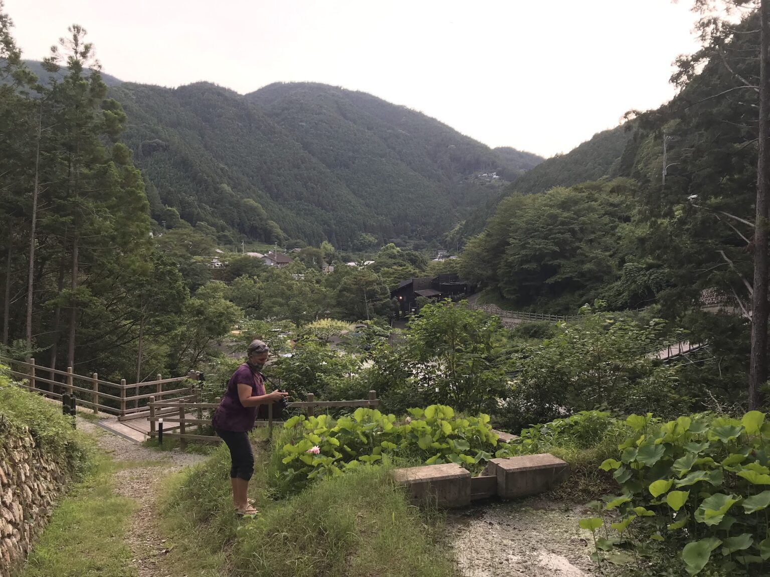 ～Enjoy Japanese Food Culture in Kamikatsu～ Explore Mt. Irodori and Enjoy Dinner with Irodori ...