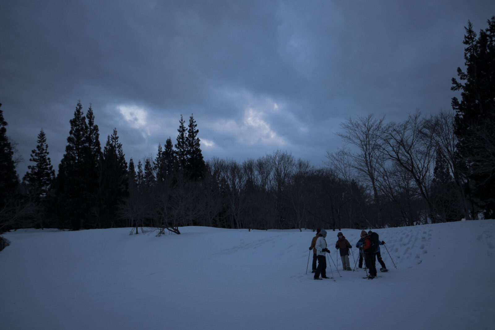 Nagano Snow Adventure：Night Snowshoeing Experience - Heartland Japan