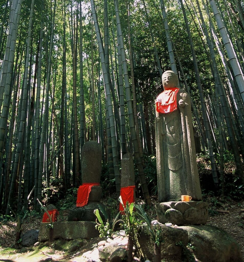 【Vol.4】Explore Kumano Kodo Iseji Guided Walk: Seaside Beauty from ...
